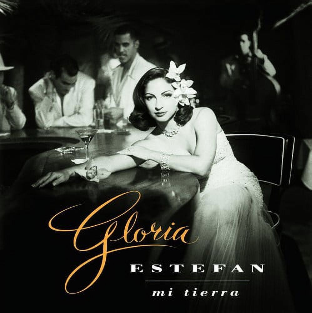 Gloria Estefan - Mi Tierra - Music & Performance - Vinyl - Walmart.com