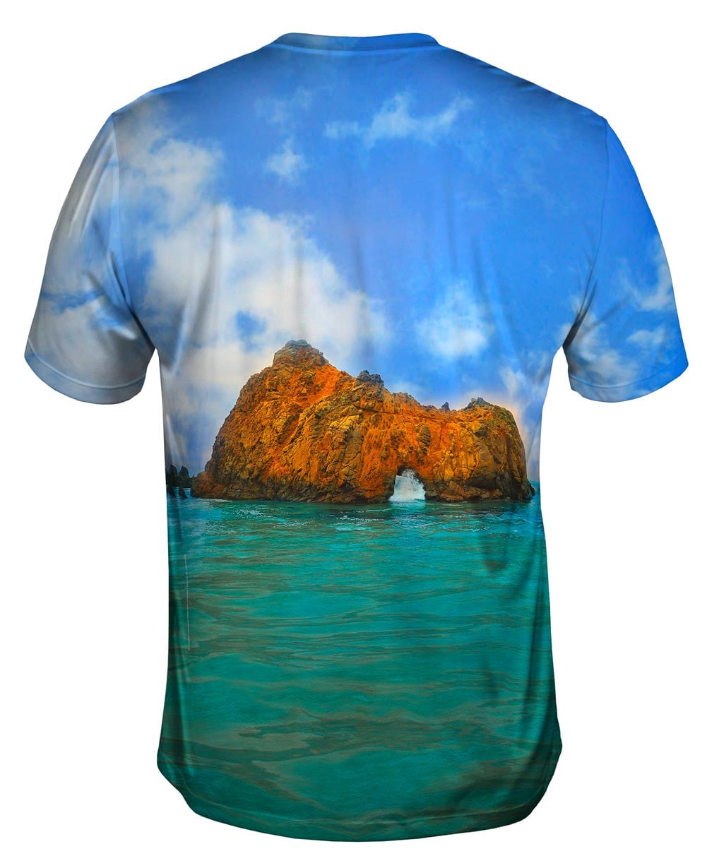 Glorious Julia Pfeiffer Burns State Park Mens T-Shirt All Over Print ...