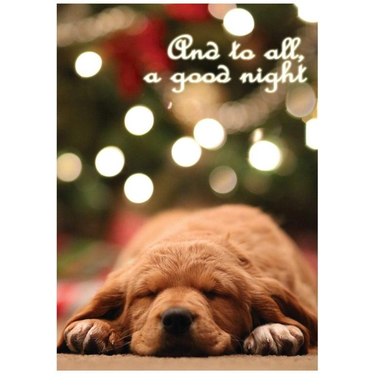 Good Night Dog Goodnight Dog GIFs | Tenor