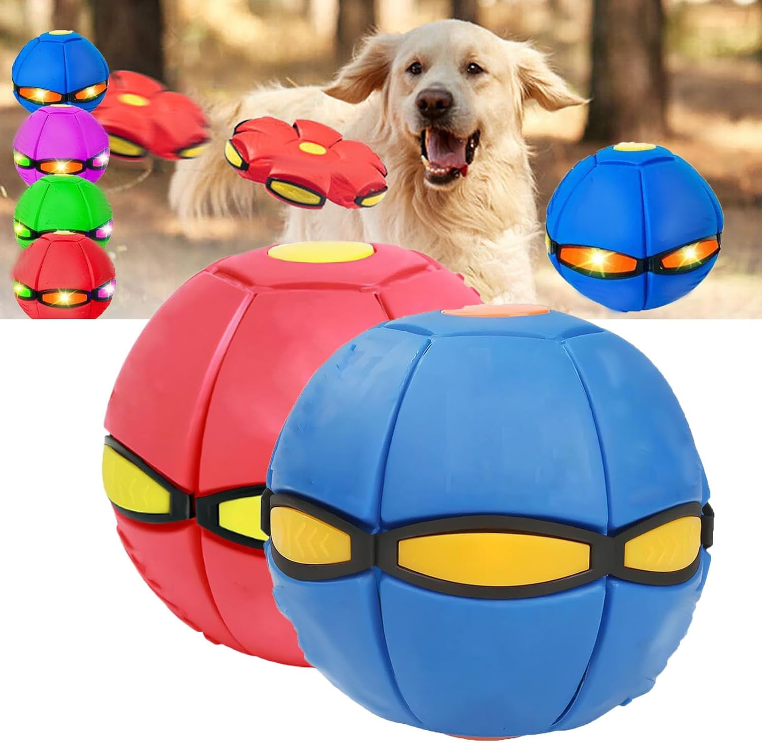 Glosrity Petootsy Doggy Delight Disc | Flying Saucer for Dogs ...