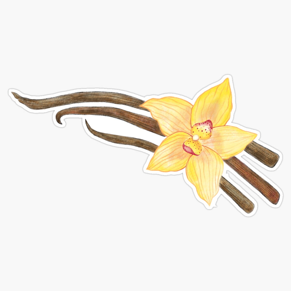 Gloss Dot Vanilla Bean Er, Phone Decal Water Bottle Stickers Car Decals ...