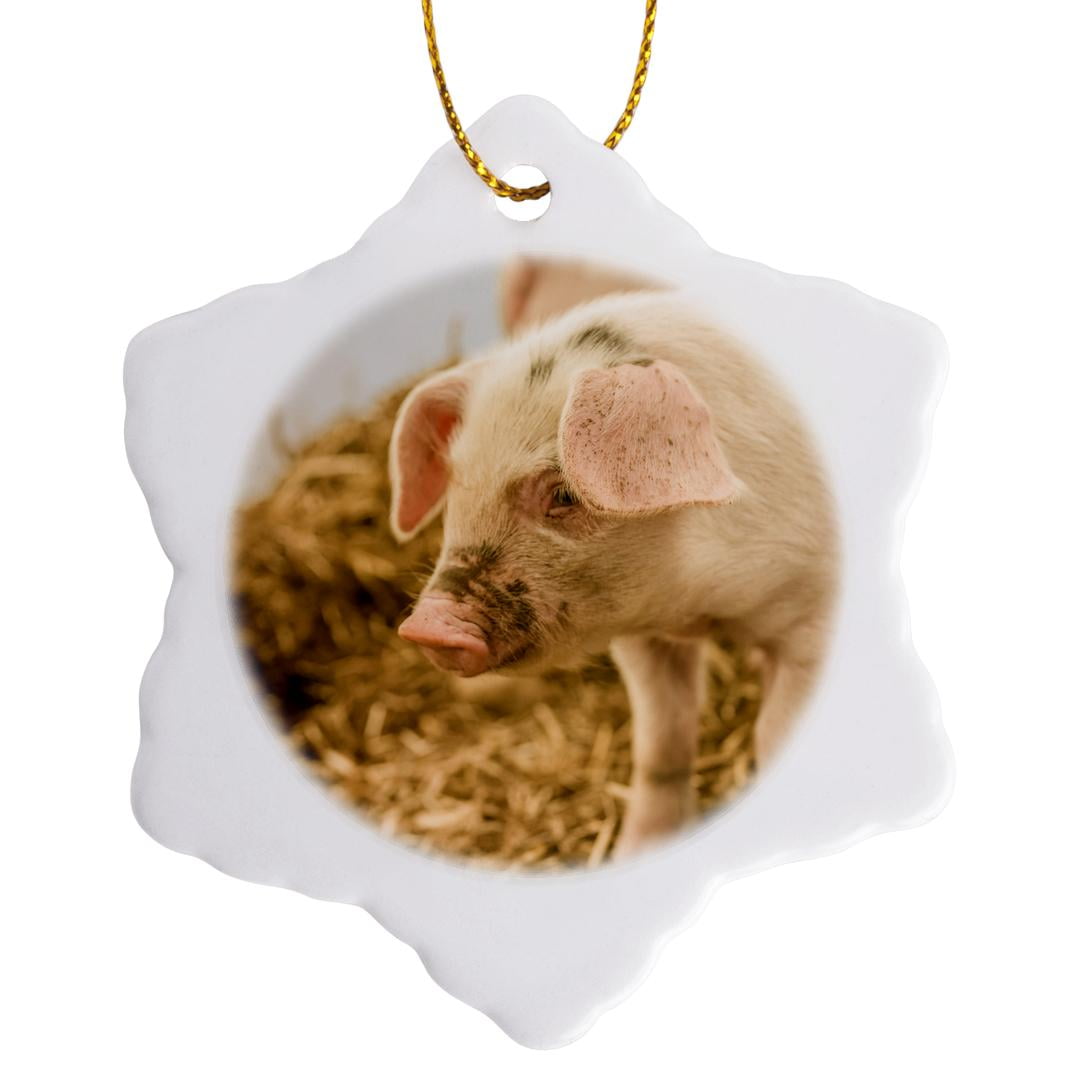 3drose, Gloucestershire Old Spots Piglet Standing in a Plastic Pig ...
