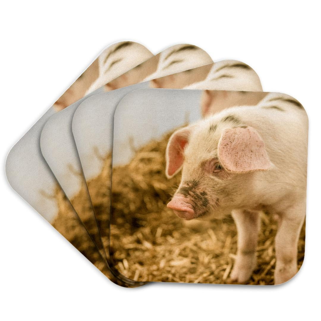 3drose, Gloucestershire Old Spots Piglet Standing in a Plastic Pig ...