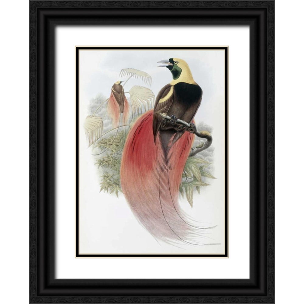 Glover, John 11x14 Black Ornate Wood Framed with Double Matting Museum ...