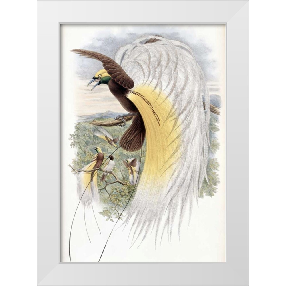 Glover, John 11x14 White Modern Wood Framed Museum Art Print Titled ...