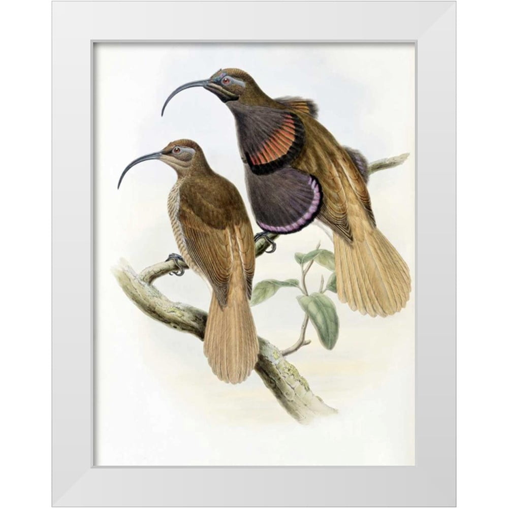 Glover, John 19x24 White Modern Wood Framed Museum Art Print Titled ...