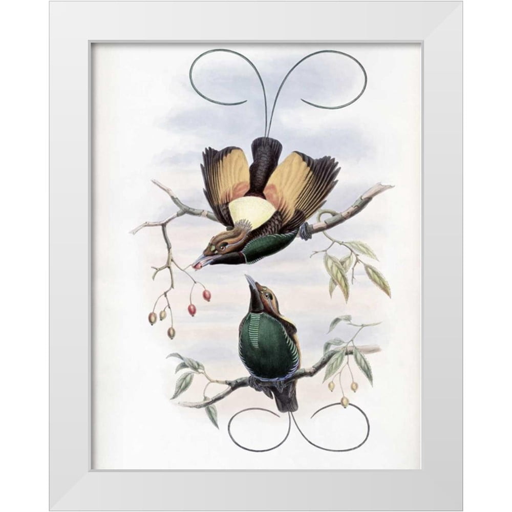 Glover, John 19x24 White Modern Wood Framed Museum Art Print Titled ...