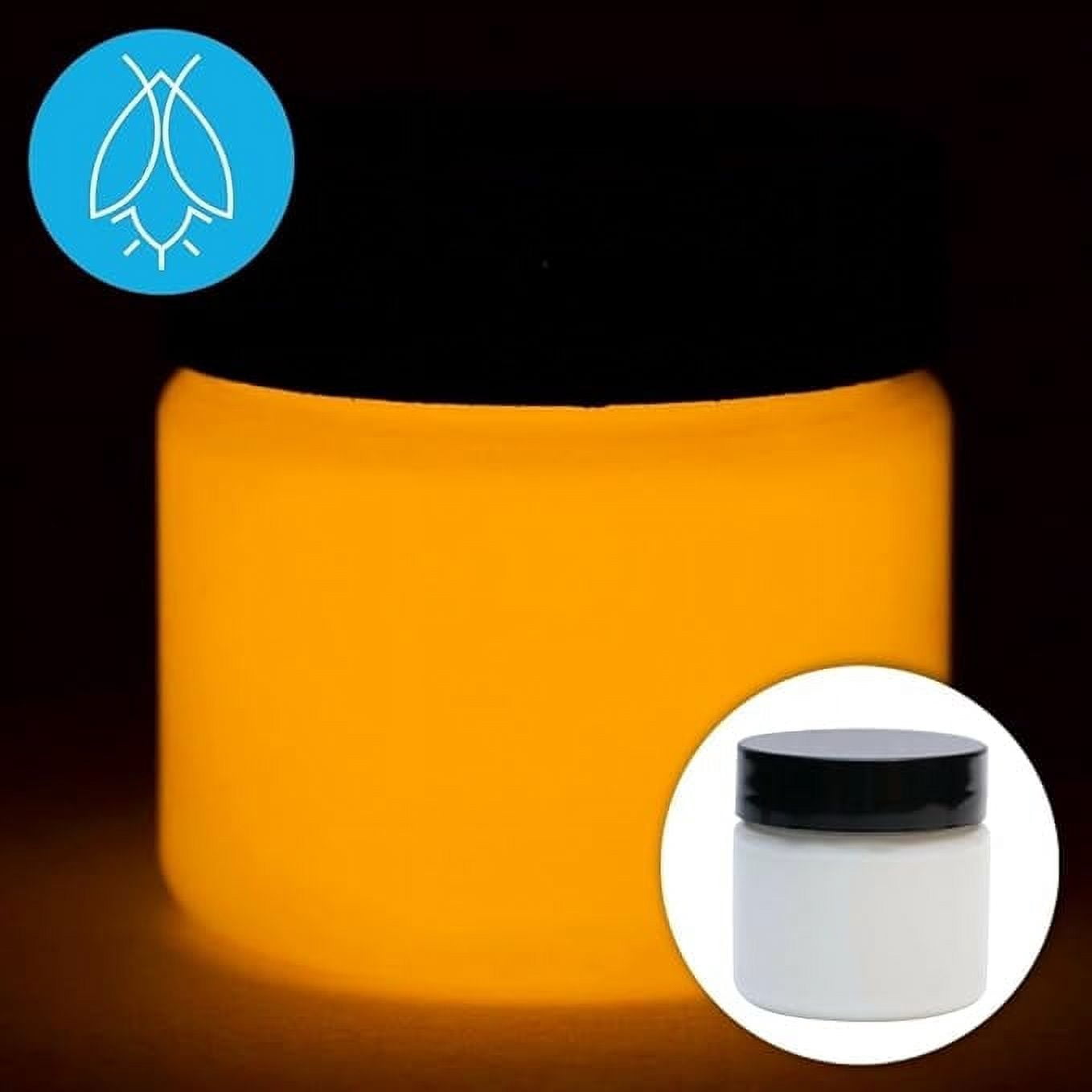 Glow In The Dark Acrylic Paint - Neutral and Fluorescent Paints with 5 ...