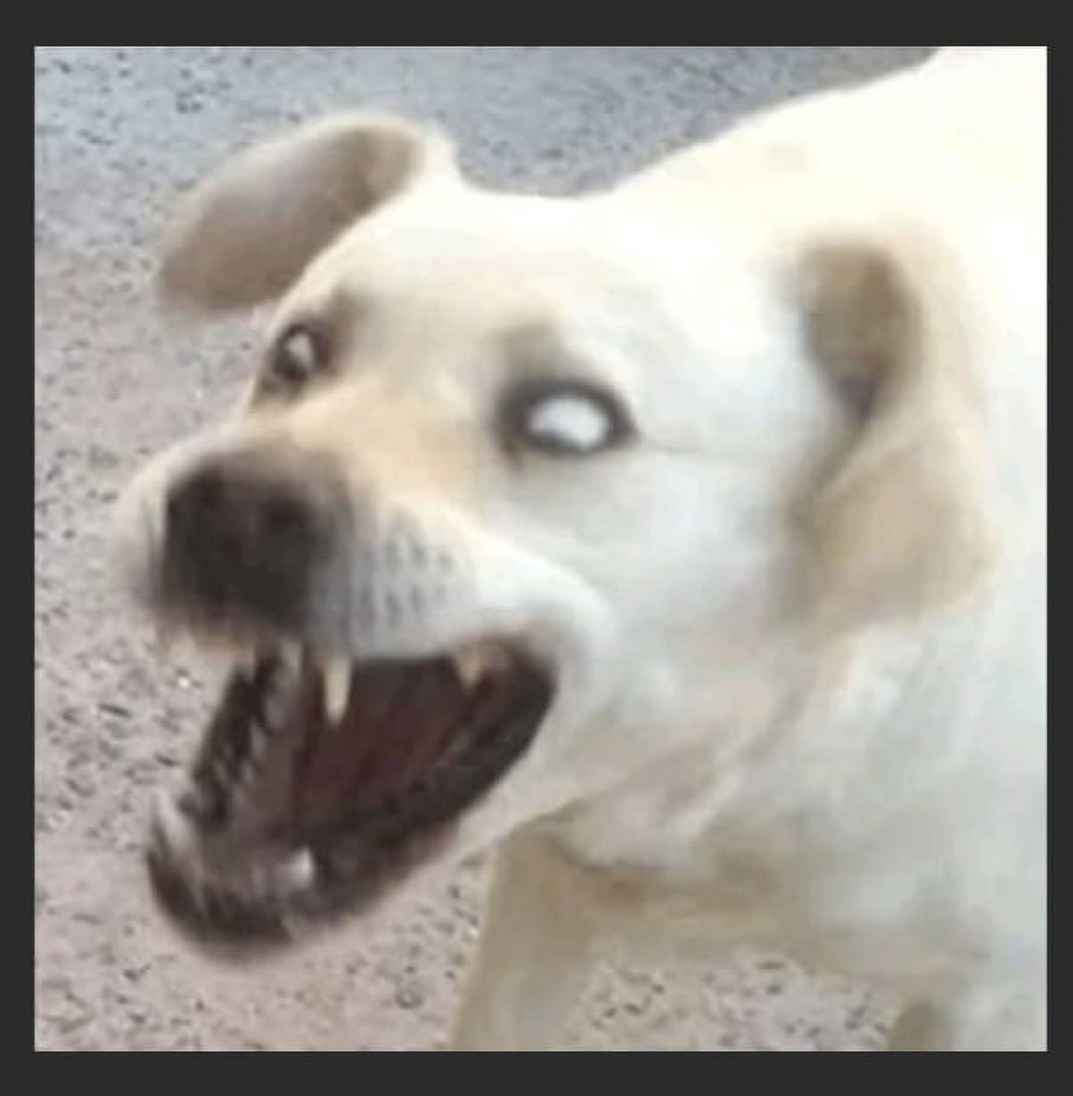 Glow in The Dark Lasso,Game Shooter String Toy,Glow in The Dark Loop ...