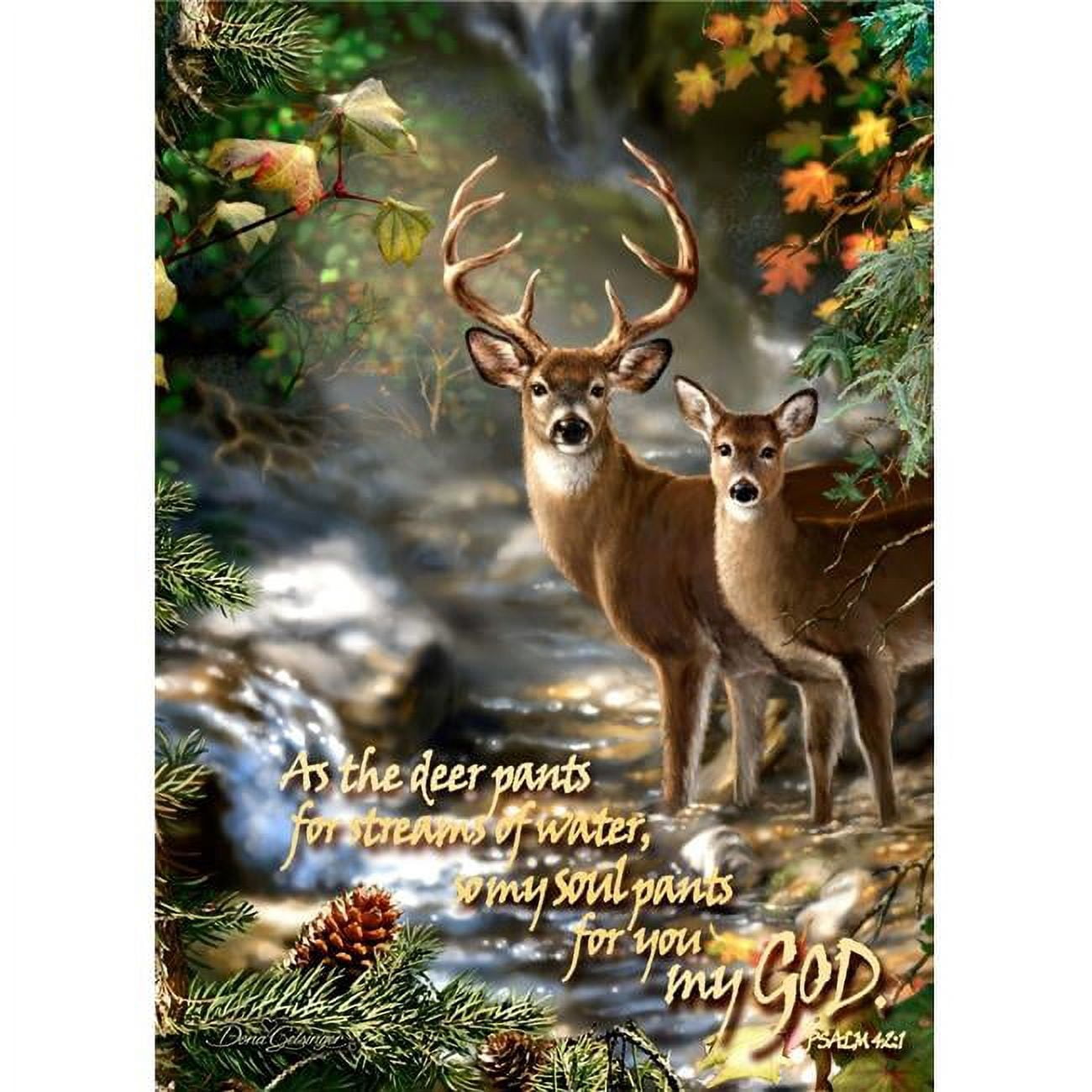 Glow Decor 261443 10 x 14 in. Frameless Canvas - Deer Creek & As the ...