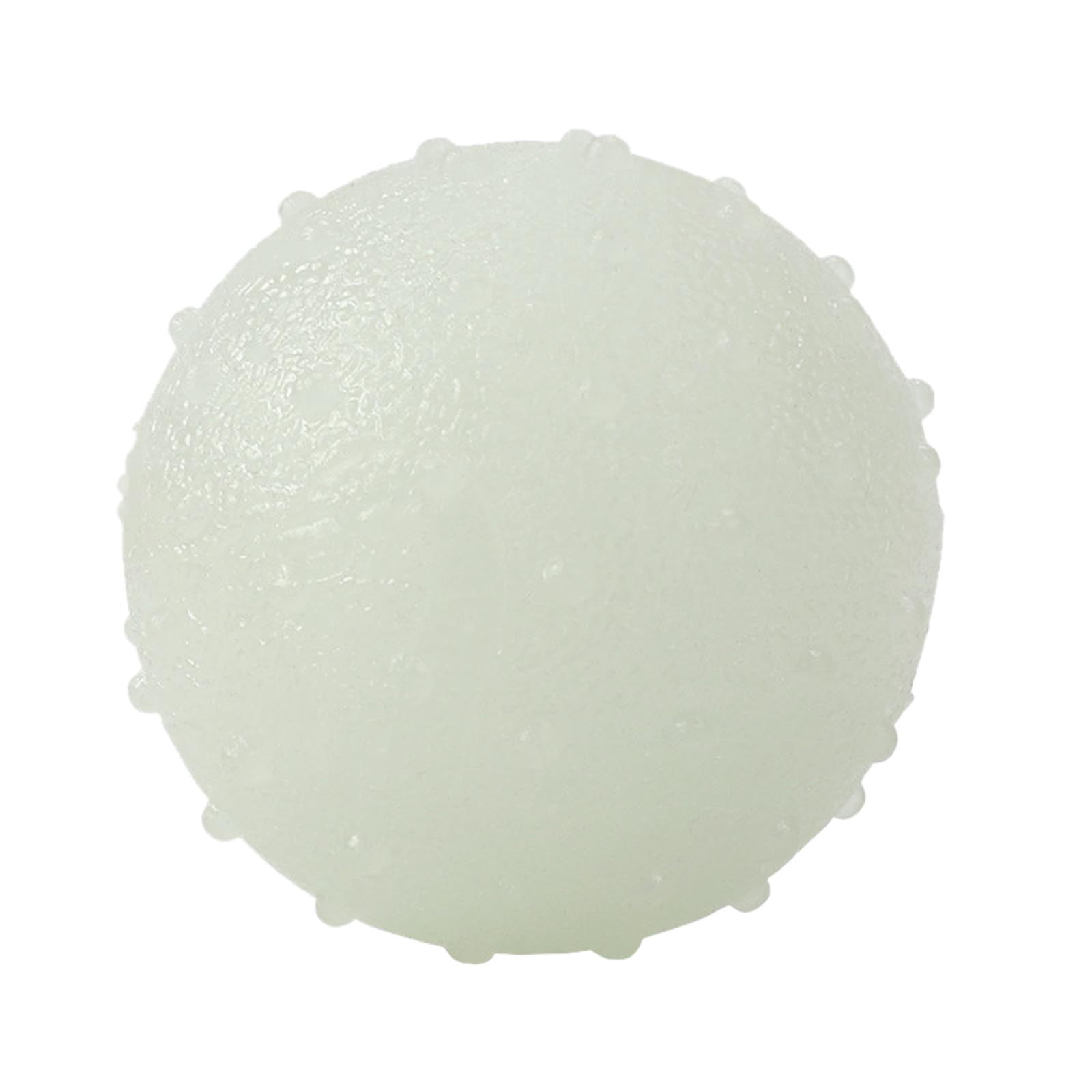 Glow in The Dark Dog Toy TPR Rubber Bouncing with Light for Indoor ...