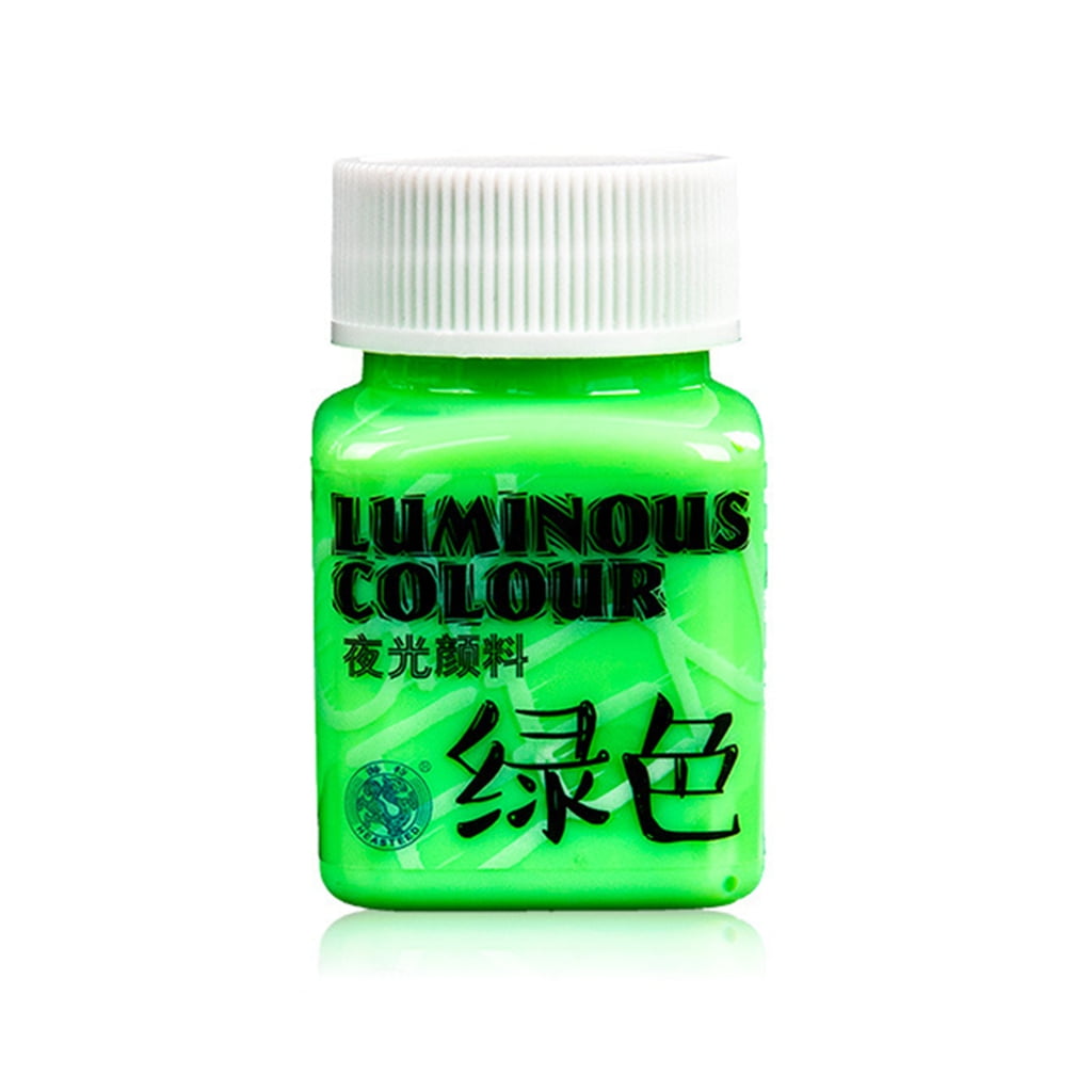 Glow in the Dark Acrylic Paint Fluorescent Paint for Rock Neon Craft ...