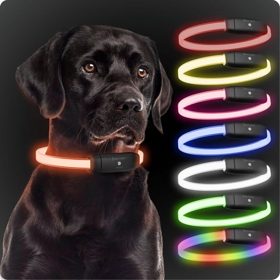 Glowing LED Collar for Dogs – Cut-to-Fit (20–70cm) – 100% Waterproof ...