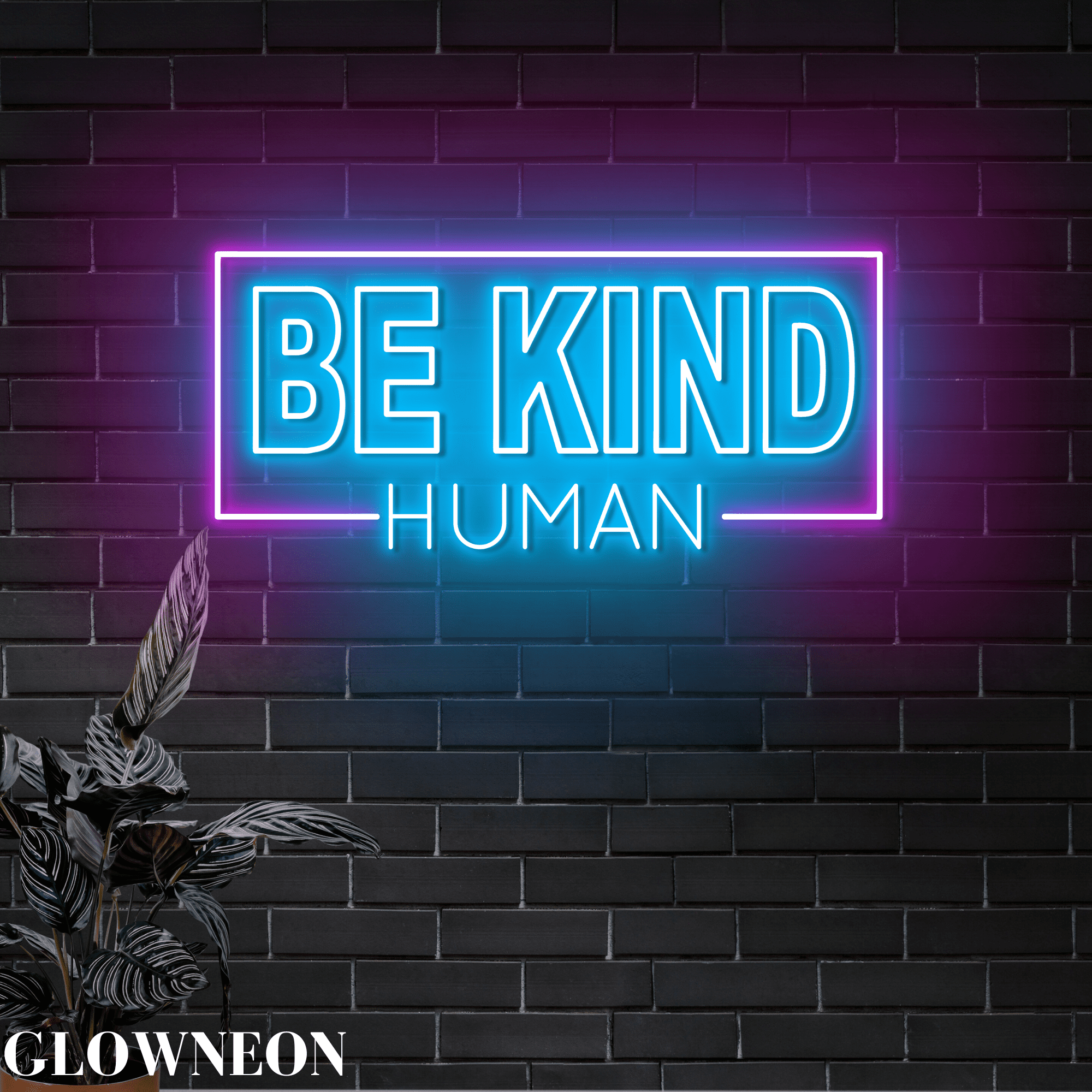 Glowneon Be Kind Human Neon Sign, Be Kind Human Motivation Wall Decor ...