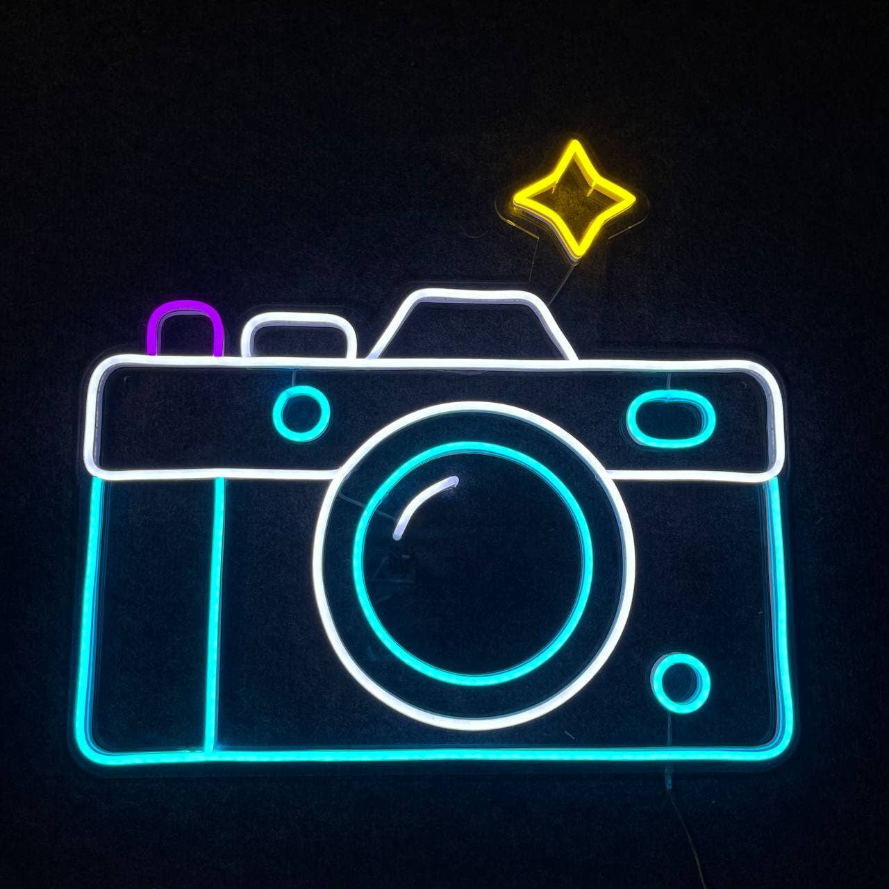 Glowneon Camera Neon Sign, LED Light for Studio Decor - Walmart.com