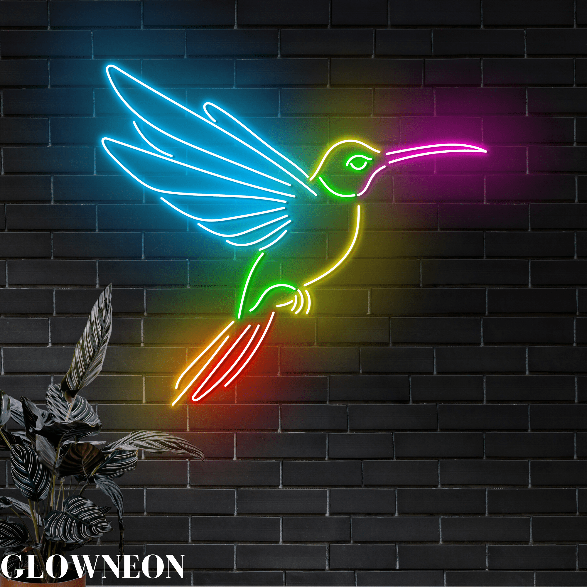 Glowneon Colorful Hummingbird Neon Light, Hummingbird Wall Led Light ...
