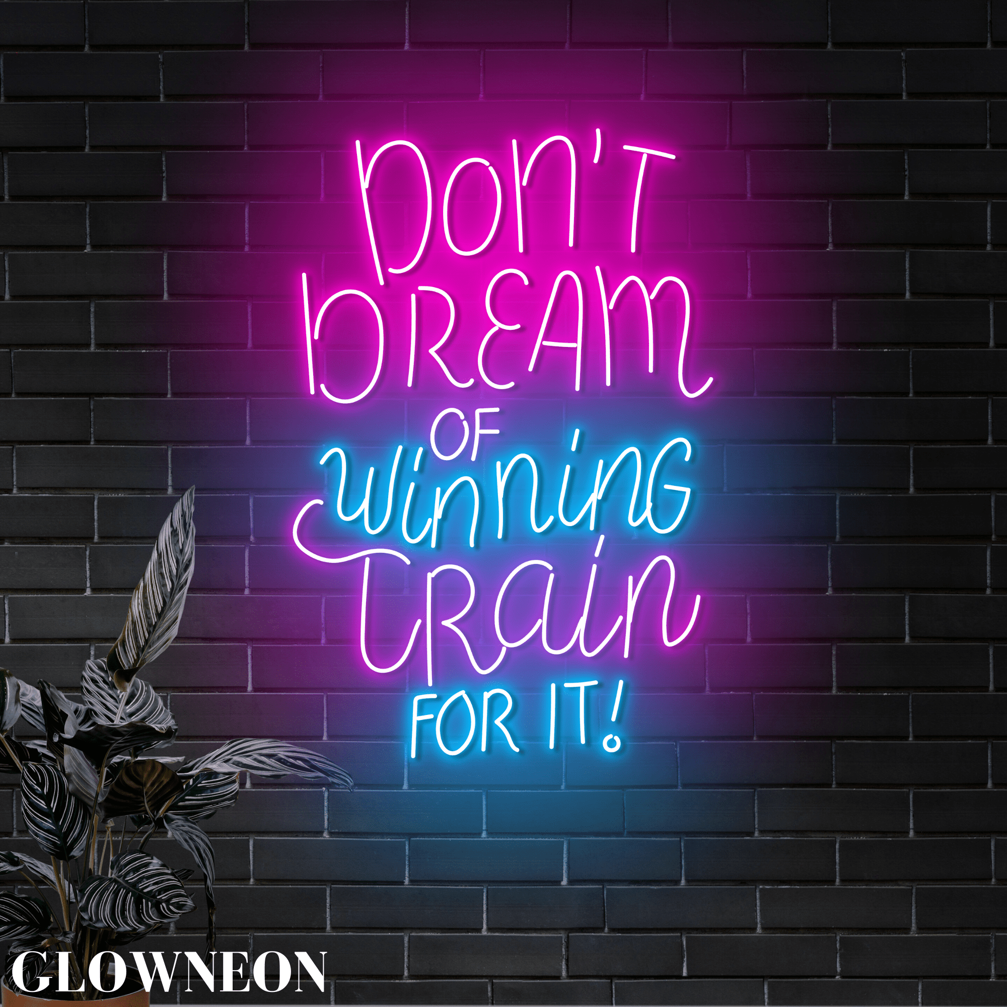Glowneon Don't Dream Of Winning Train For It Led Sign Motivation Sign ...