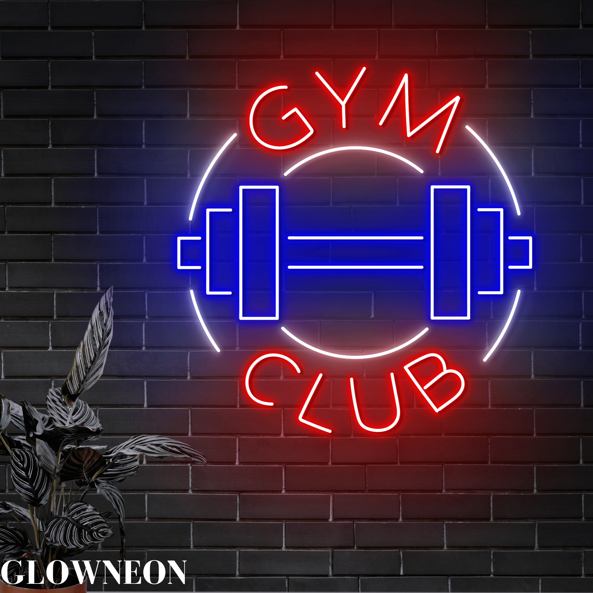 Glowneon Gym Club Neon Signboard, Fitness Room Led Sign Wall Hanging ...