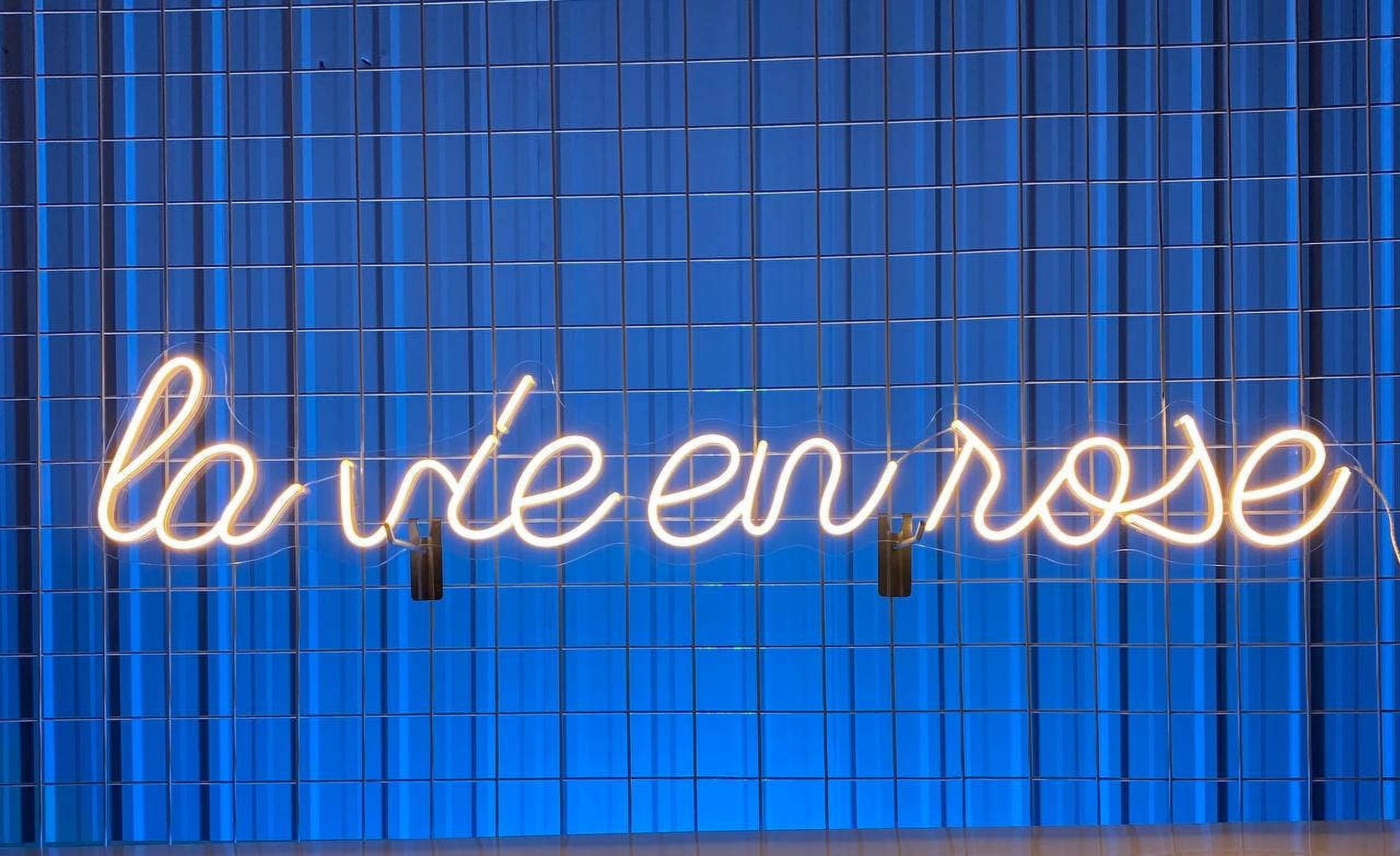 Glowneon La Vie En Rose Neon Sign, Home Wall Decor - Walmart.com