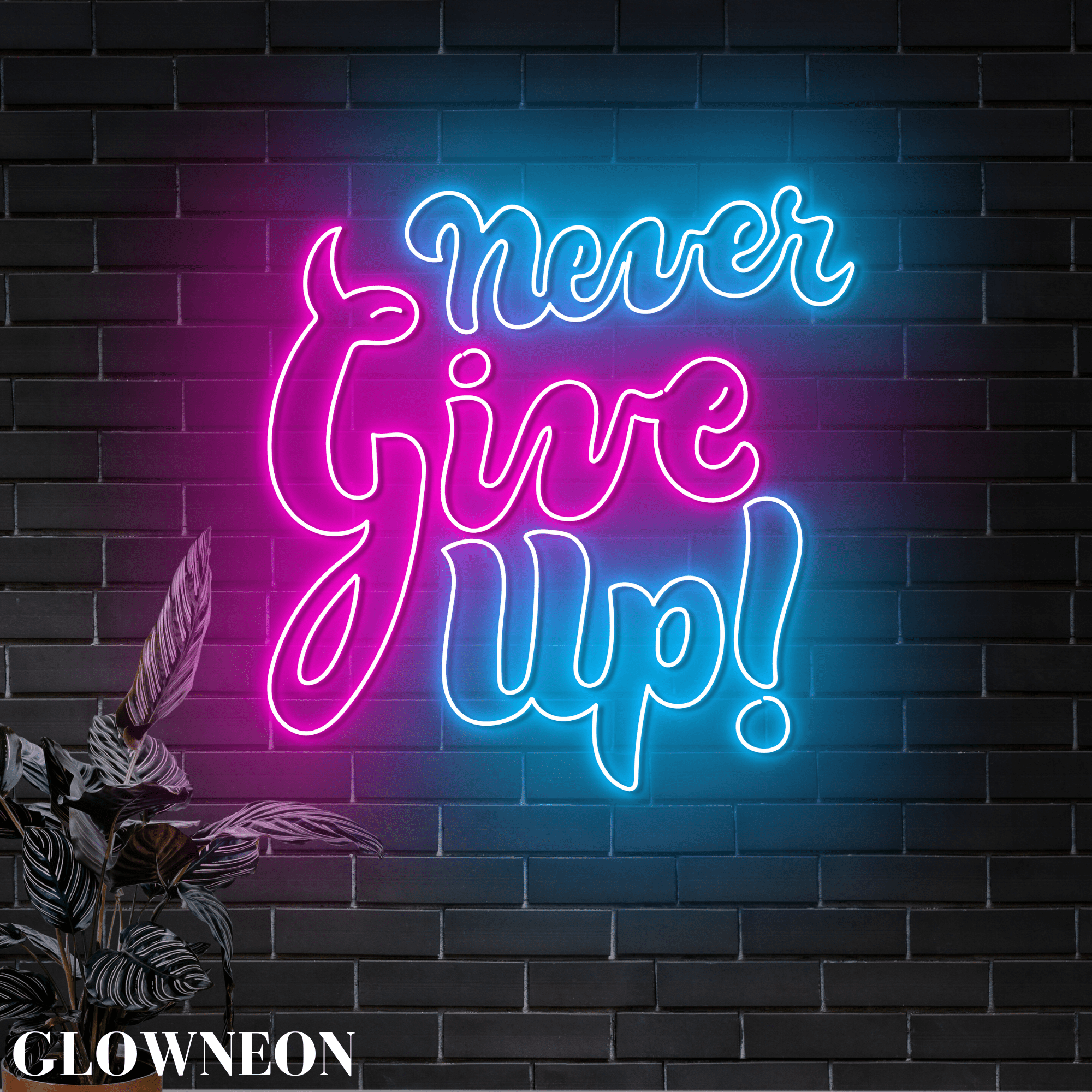 Glowneon Never Give Up Neon Light, Motivational Quote Home Gym Decor ...