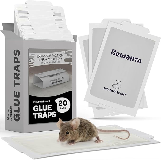 Glue Traps [19 Pack] Pre-Baited Mouse Traps - Ultra-Adhesive Glue ...