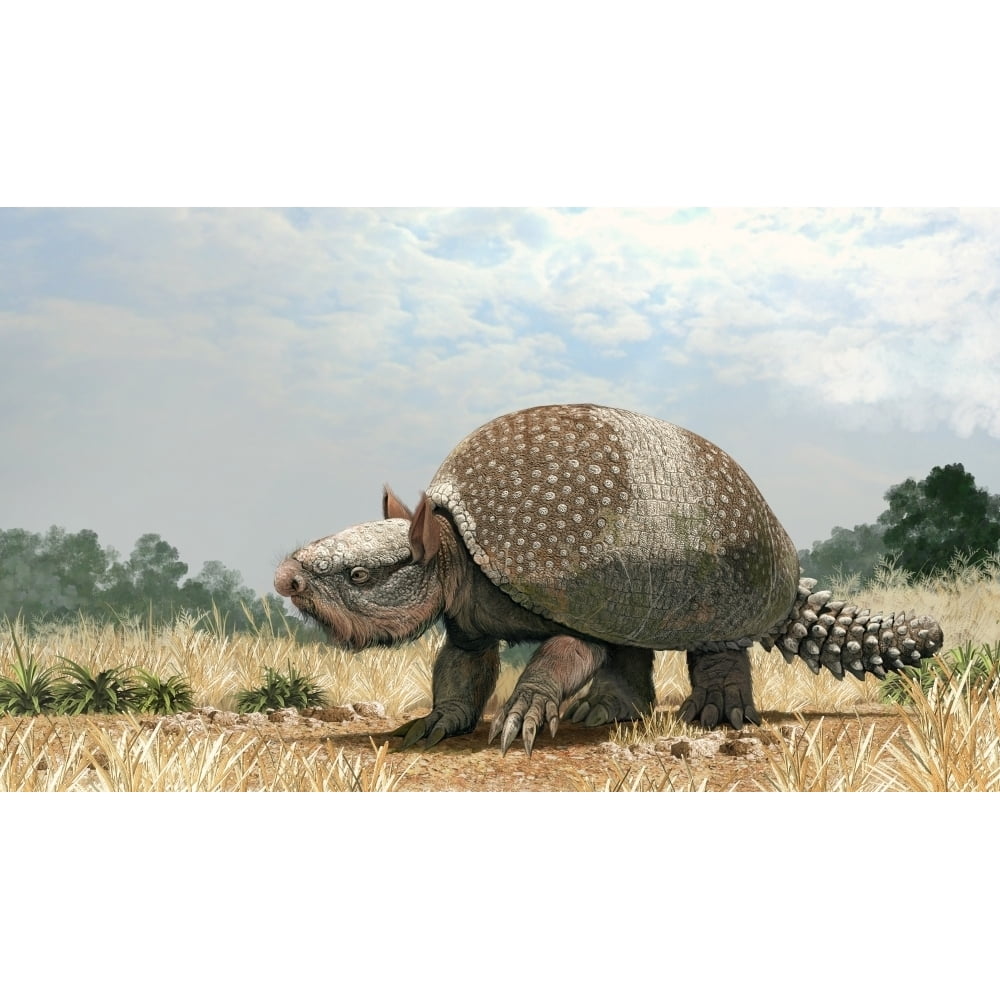 Glyptotherium arizonae a North American megafauna Poster Print ...