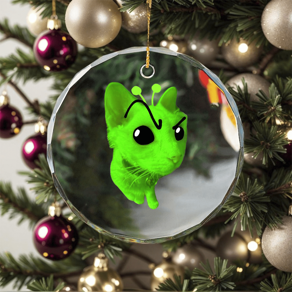Gnarp Cat Alien Cat Brainrot Gen Z Ornament, Keepsake Decor, Crystal ...