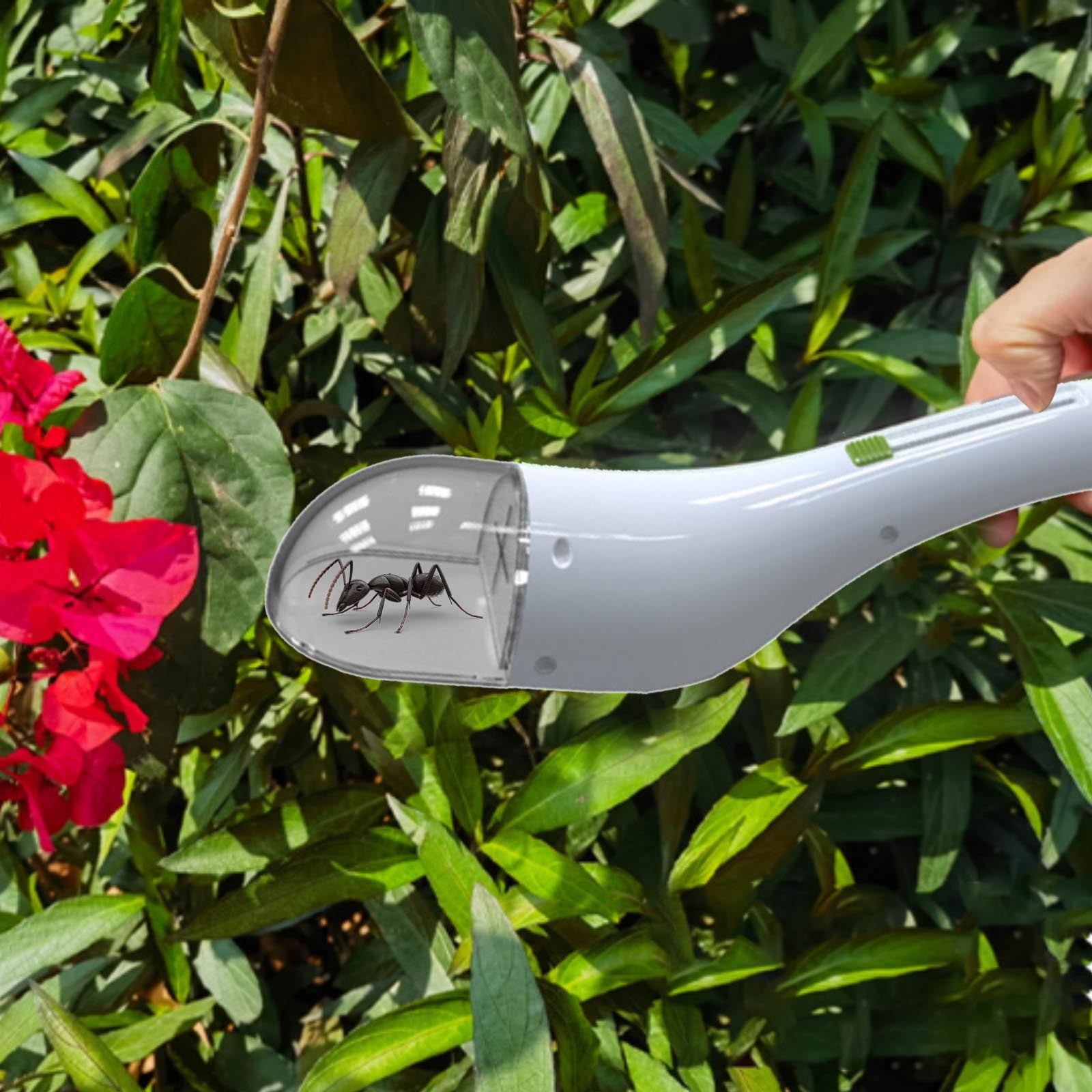 Gnat Sticky for Flea Night Light Trapper Max Glue Mice Glue Indoor Glue ...