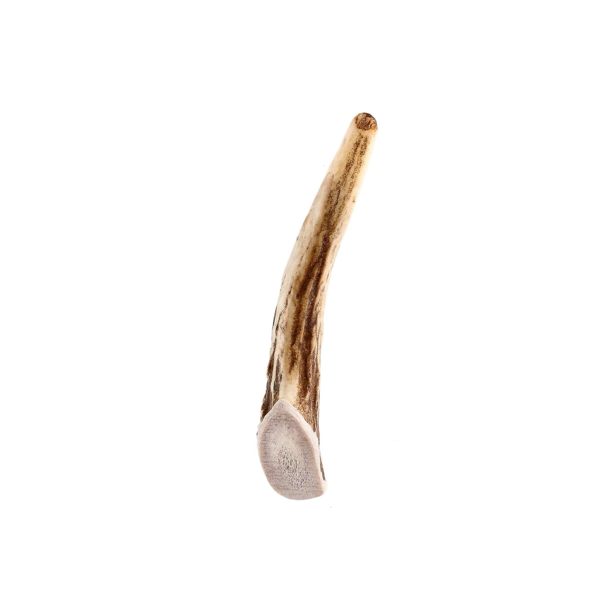 Gnawtlers Premium Deer Antlers For Dogs, Naturally Shed, All Natural ...