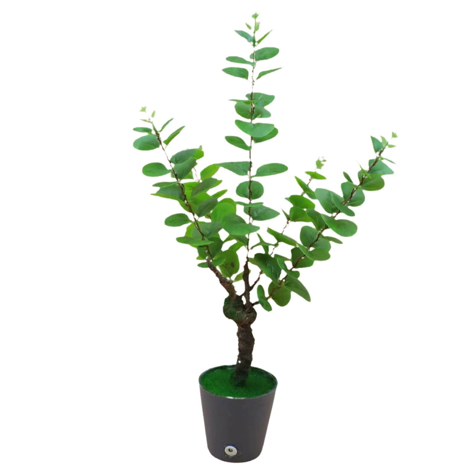 Gnwei LED Artificial Tree Lamp, Lighted Trees for Indoor Decor USB ...