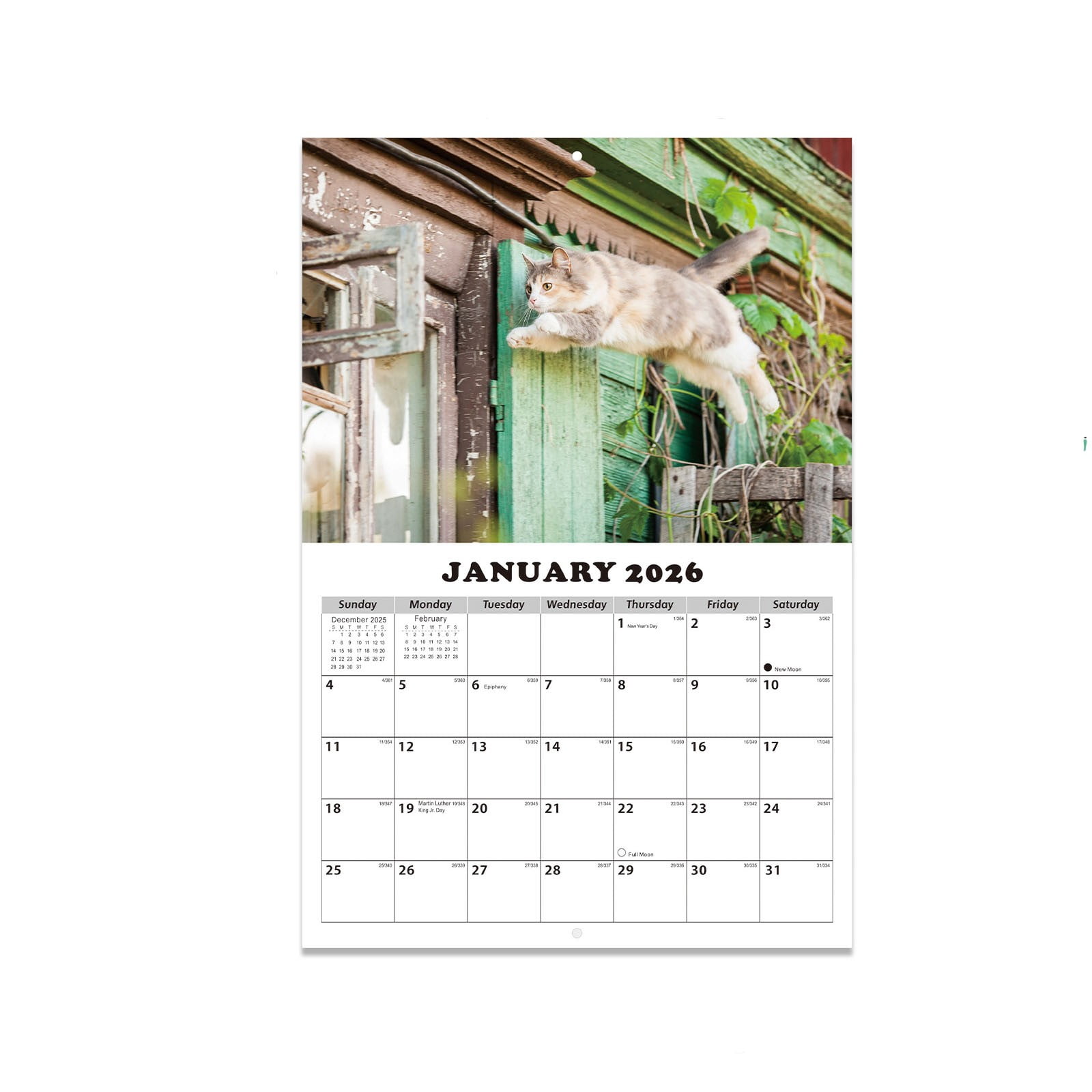 Gnwei Large Cat Calendar 2026, January 2026 to December 2026, 12 ...