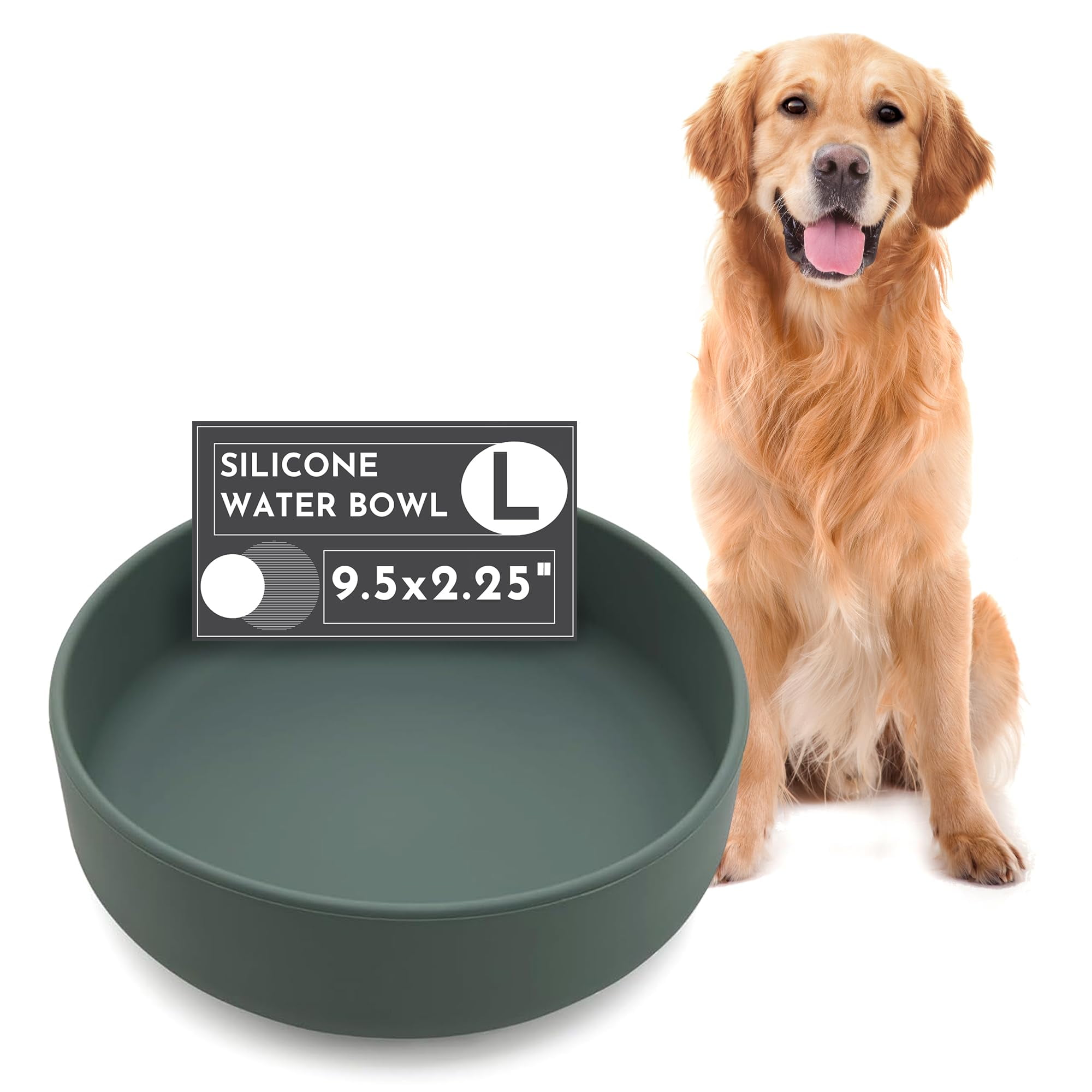 Should We Go? - DHF10 The Perfect Dish - Durable Dog Bowl - No Spill ...