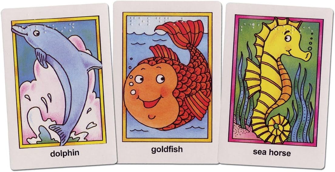 Go Fish Flash Cards - Braille - Walmart.com