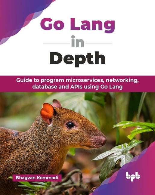 Go Lang in Depth: Guide to program microservices, networking, database ...