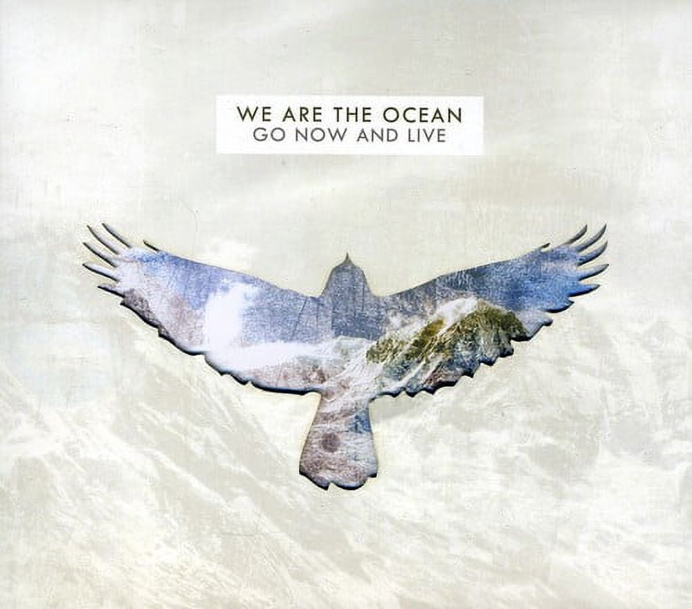 Go Now & Live - CD - Walmart.com