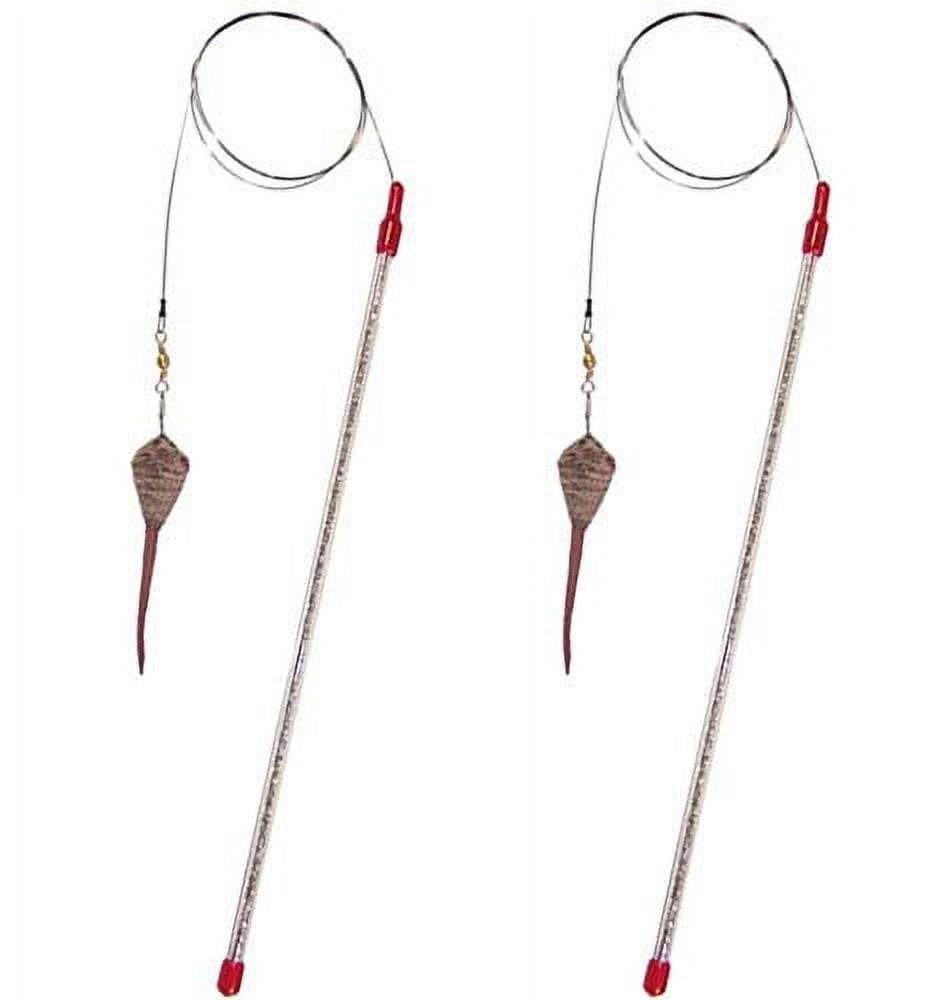 GoCat Cat Catcher Teaser Wand (2 - Pack) - Walmart.com