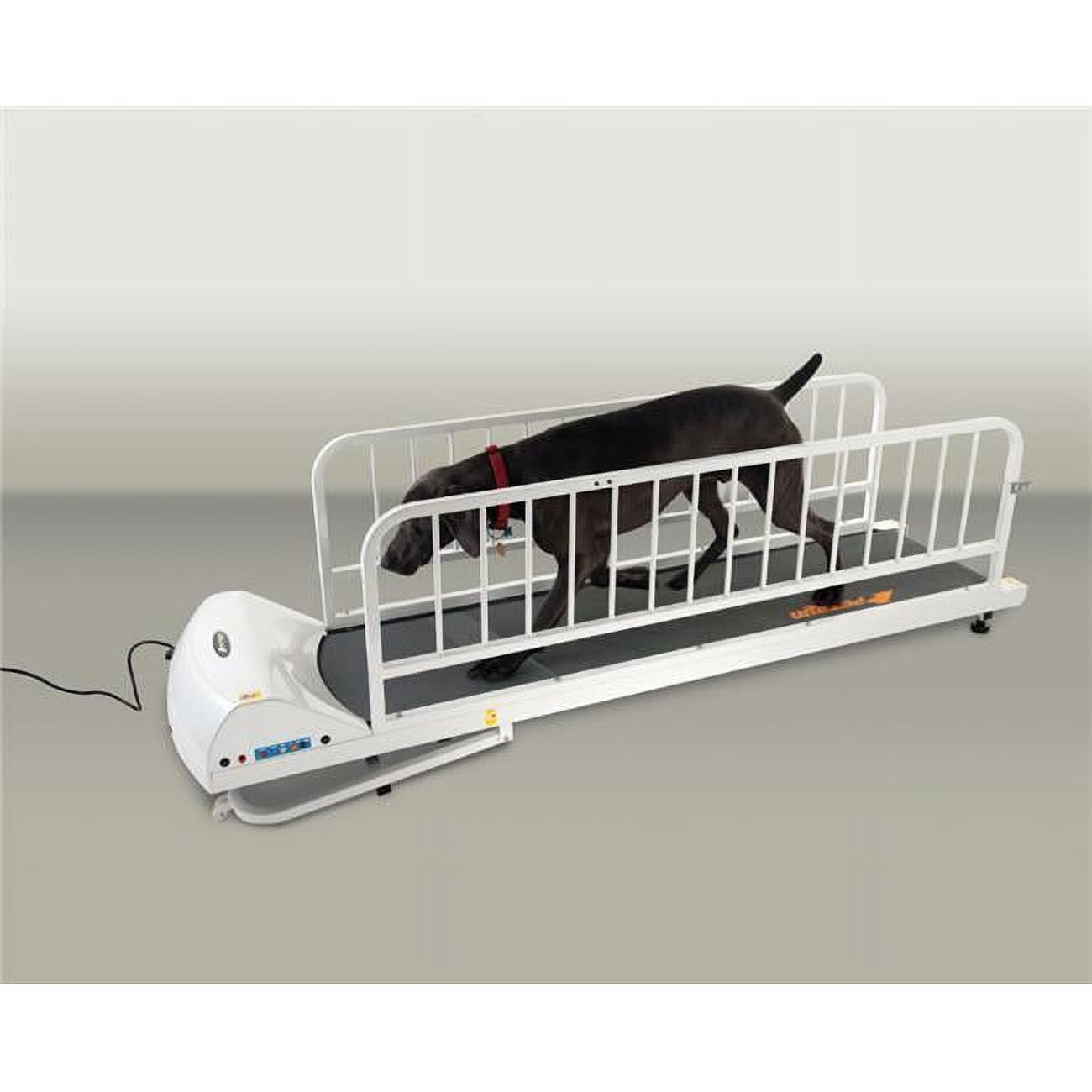 GoPets PetRun PR725 Dog Exercise Treadmill - Walmart.com