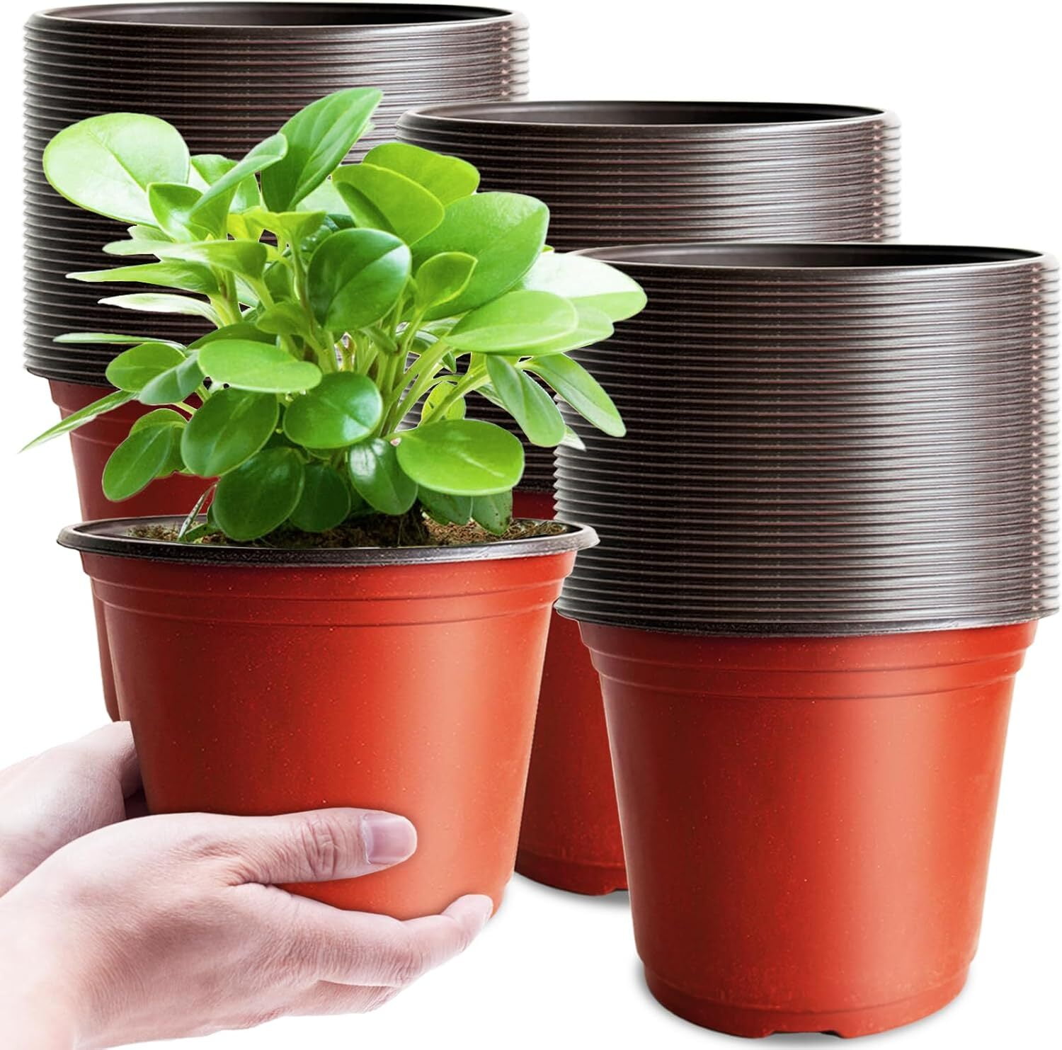 GoXteam 200 Pieces Nursery Pots Variety Pack Plastic Plant Pots 6 Inch ...