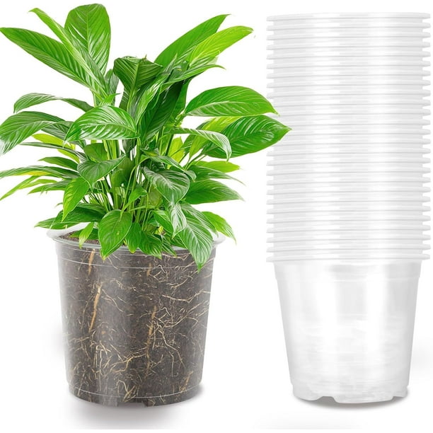 GoXteam 30 Packs Clear Nursery Pots for Plants, 3 Inch Plant Pot for ...