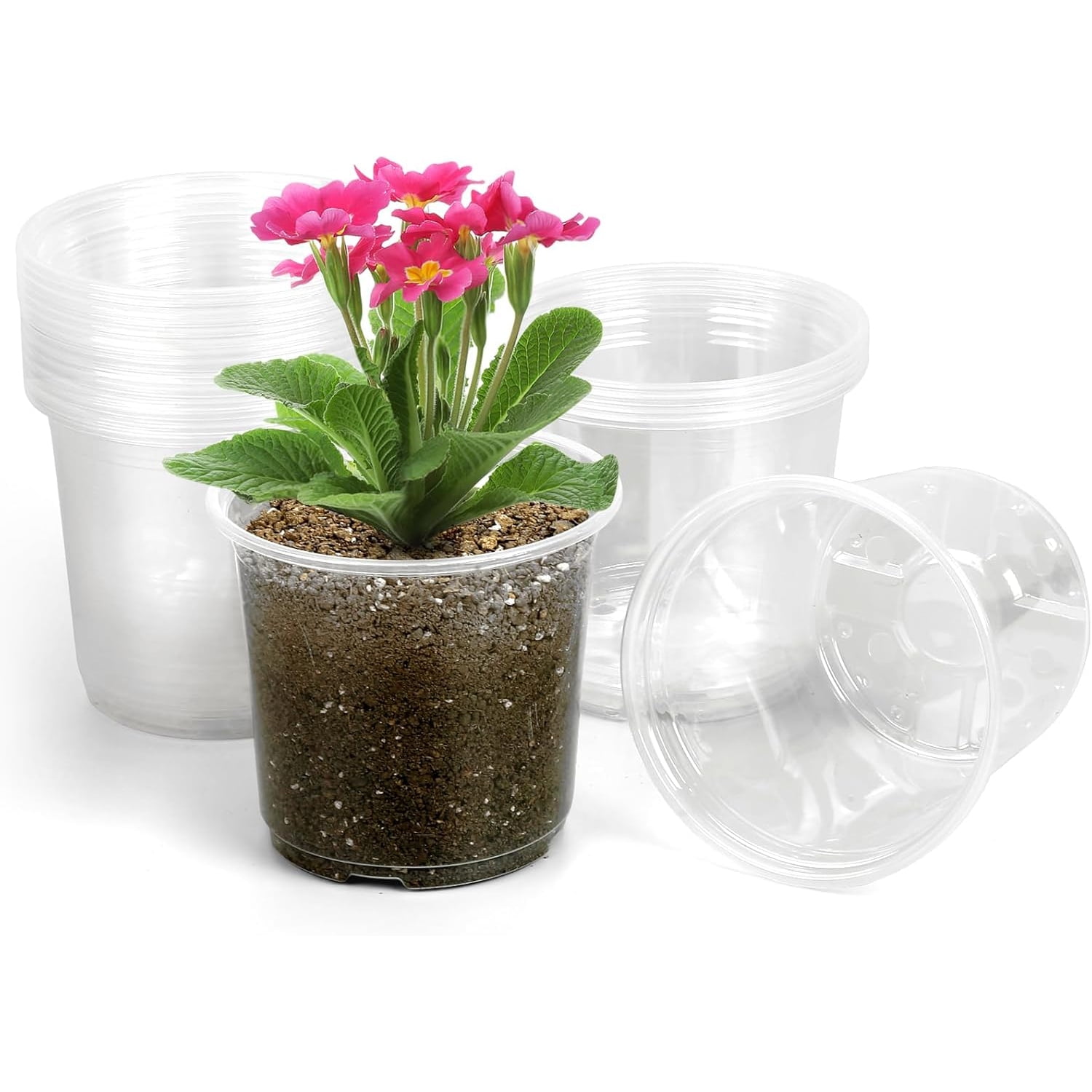 GoXteam 3Inch Clear Nursery Pots with Drainage Holes, 30 Pack Nursery ...