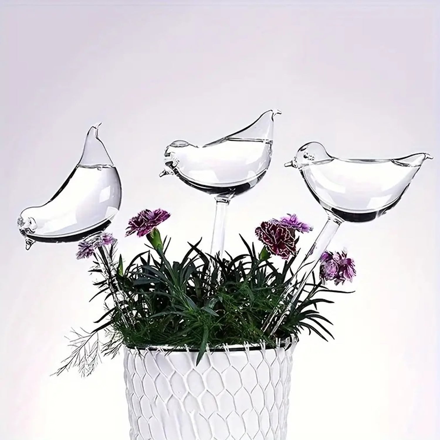 GoXteam 3Pcs Plant Self Watering Globes, Clear Plastic Self Watering ...