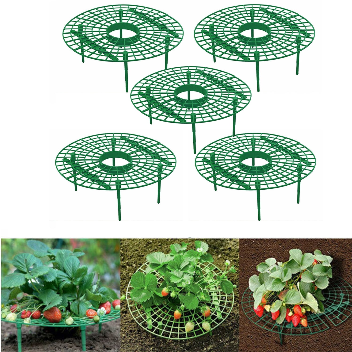 GoXteam 5 Packs Strawberry Supports Strawberry Growing Frame Strawberry ...