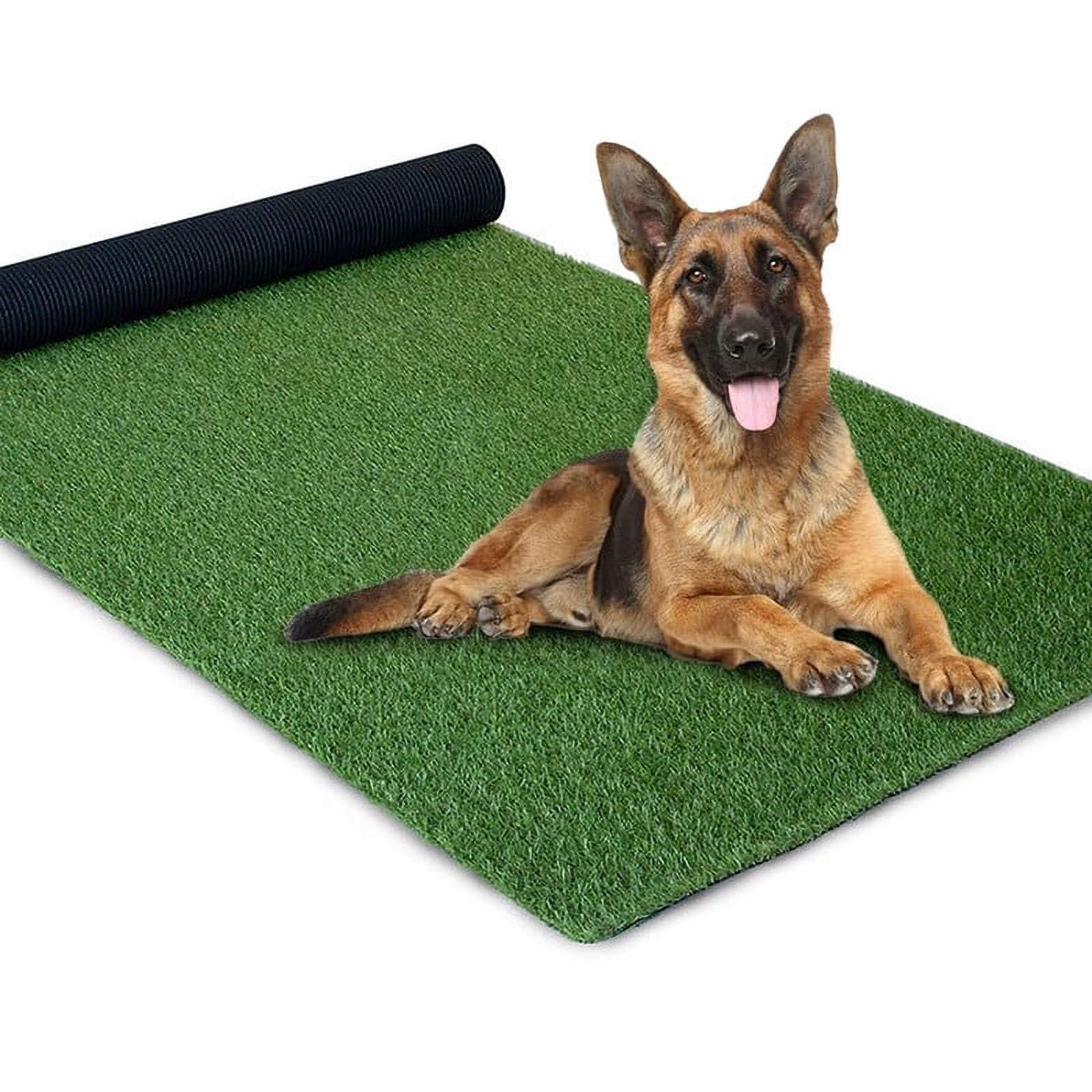 Goasis Lawn 8x12ft Artificial Grass Turf 0.78" High Indoor Outdoor ...