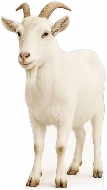 Goat 2FT Life Size Cardboard Cutout – Farm Animal Fun Standup for Photo ...