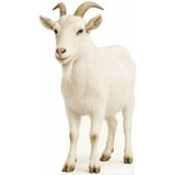 Goat 4FT Life Size Cardboard Cutout – Farm Animal Fun Standup for Photo ...
