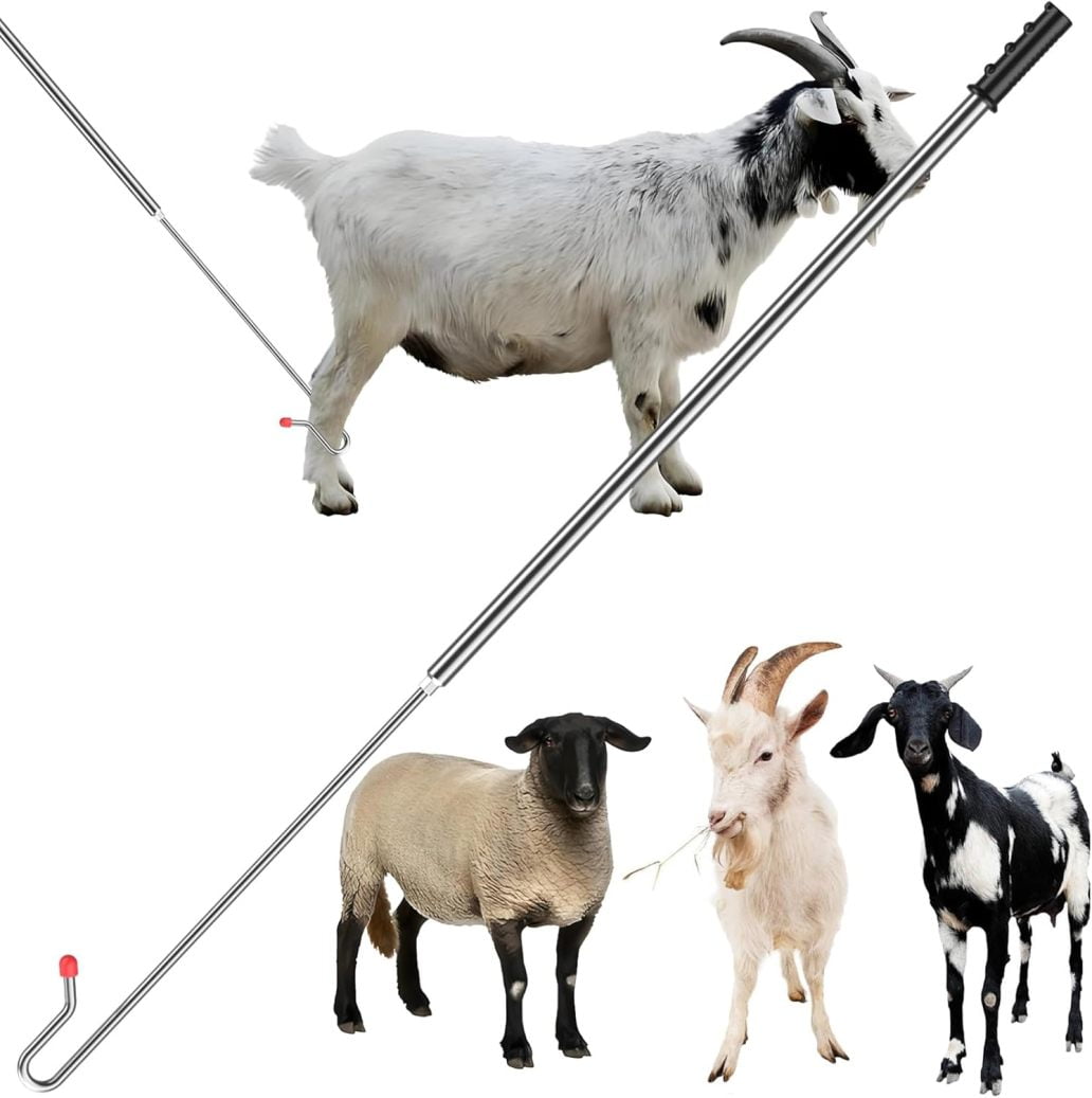 Goat Catcher Leg Hook, Leg Sheep Crook Solid 45# Steel Sheep Hook ...