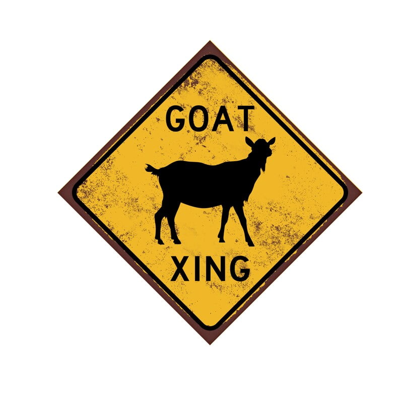 Goat Crossing Caution Sign - Goat Farmer Sign - Homestead Sign - Goat ...