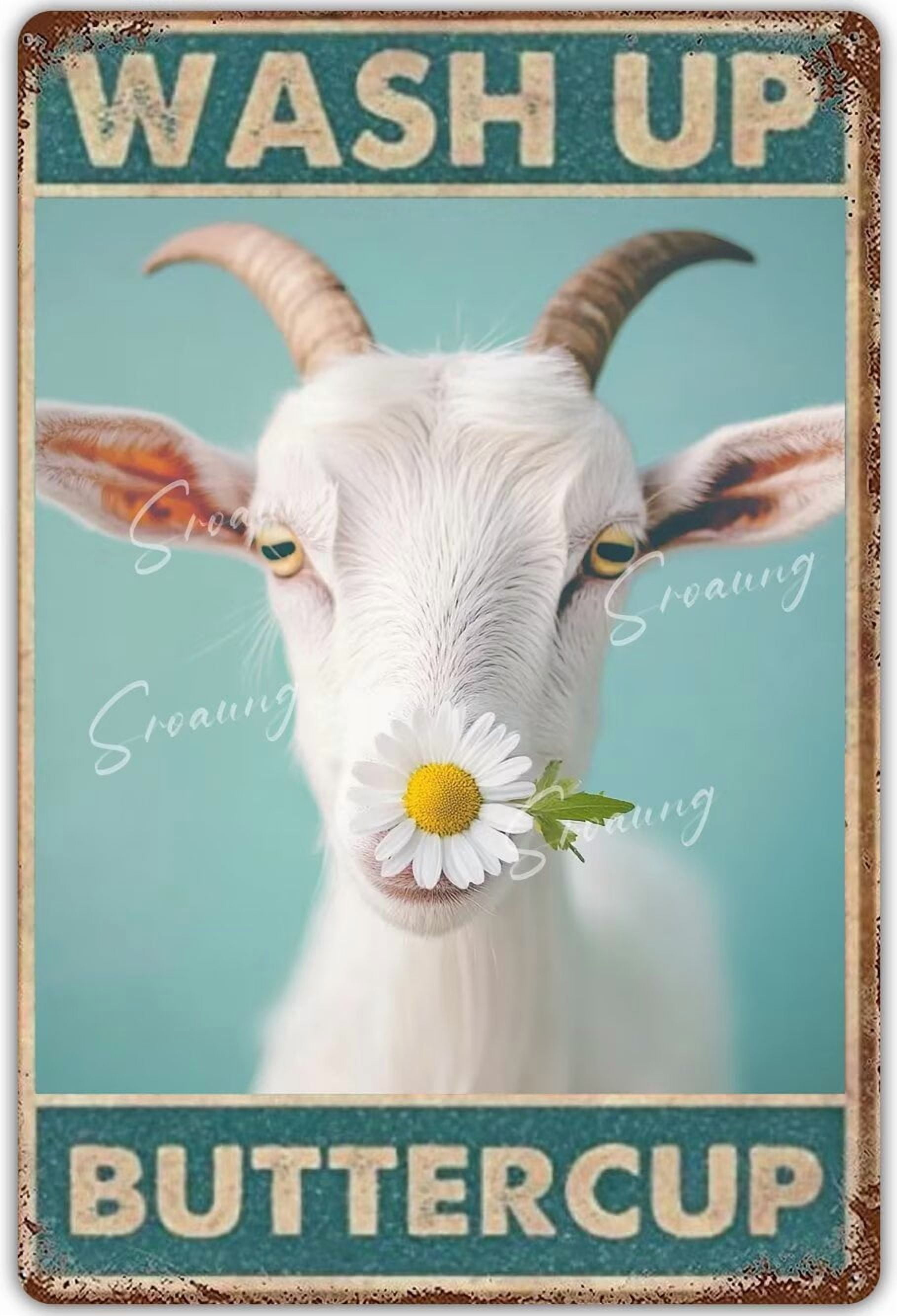 Goat Diamond Art Painting Kits for Adults,Wash Up Buttercup DIY 5D ...