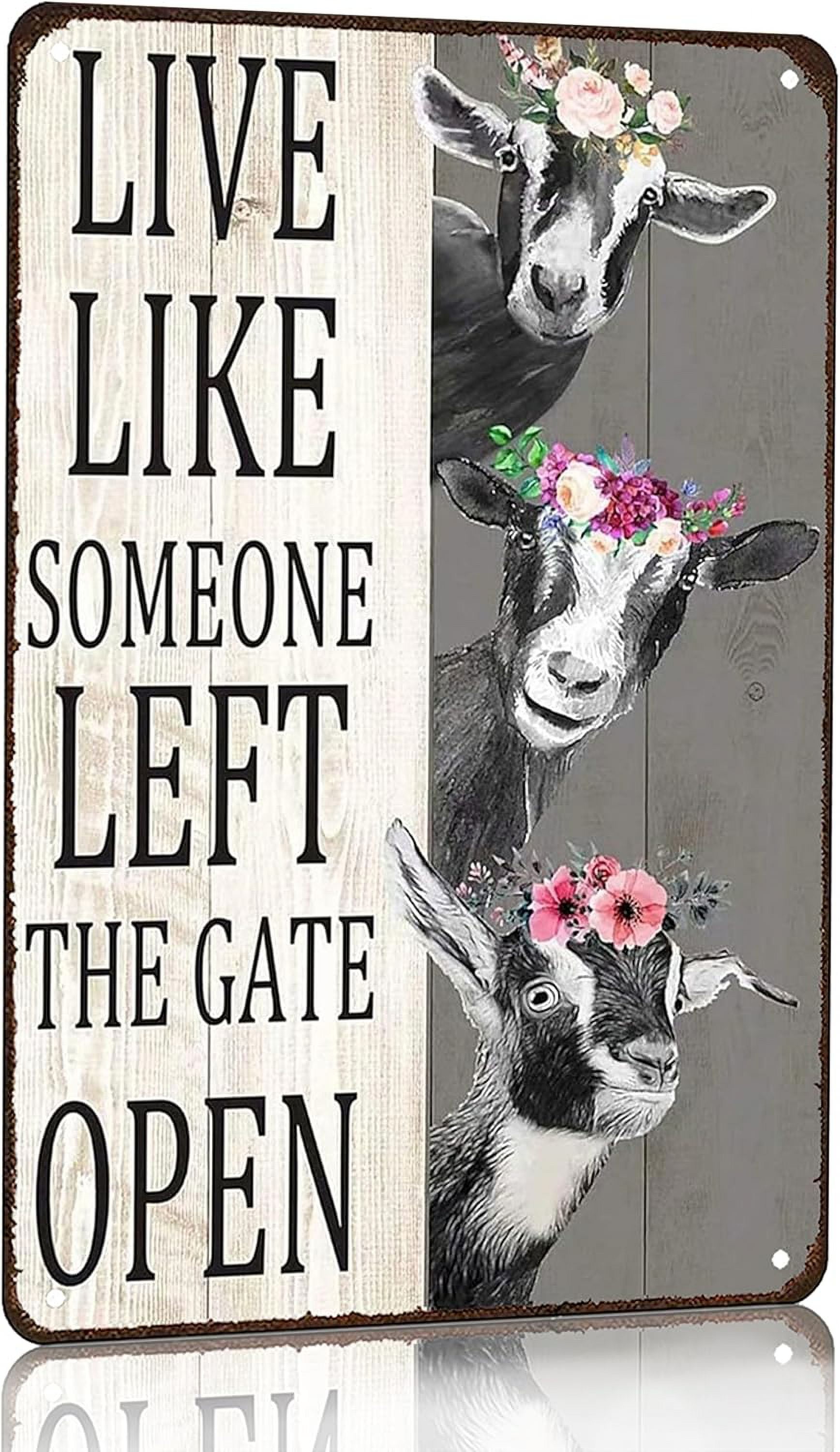 Goat Gifts Vintage Goat Decor Sign Live Like Someone Left The Gate Open ...