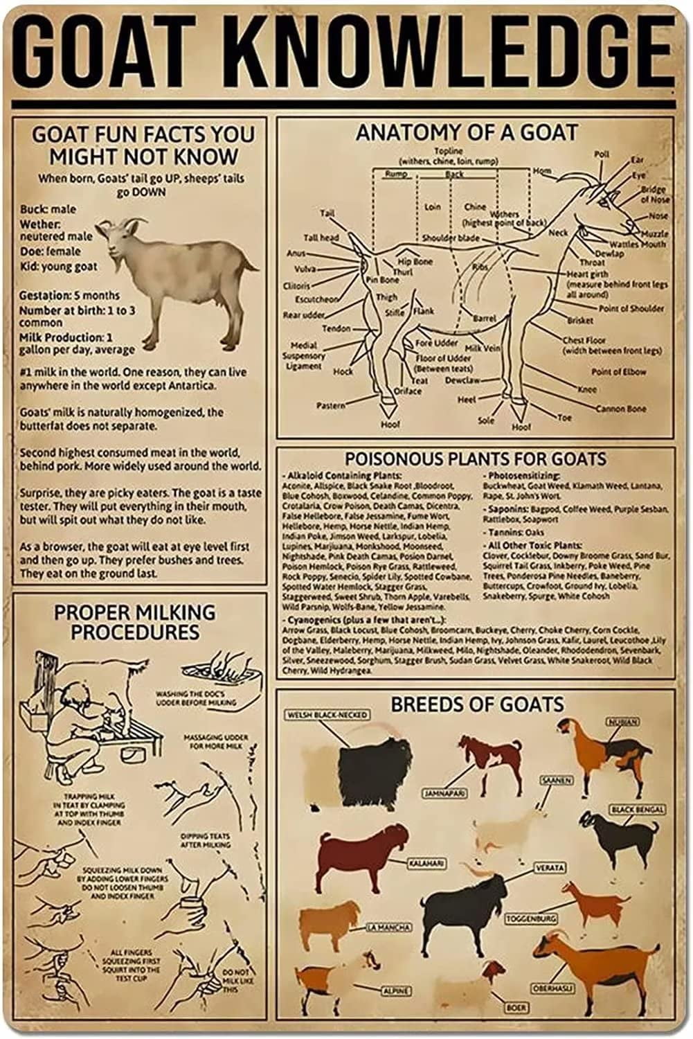 Goat Knowledge Metal Signs Poster Anatomy Of A Goat Home Bedroom People ...